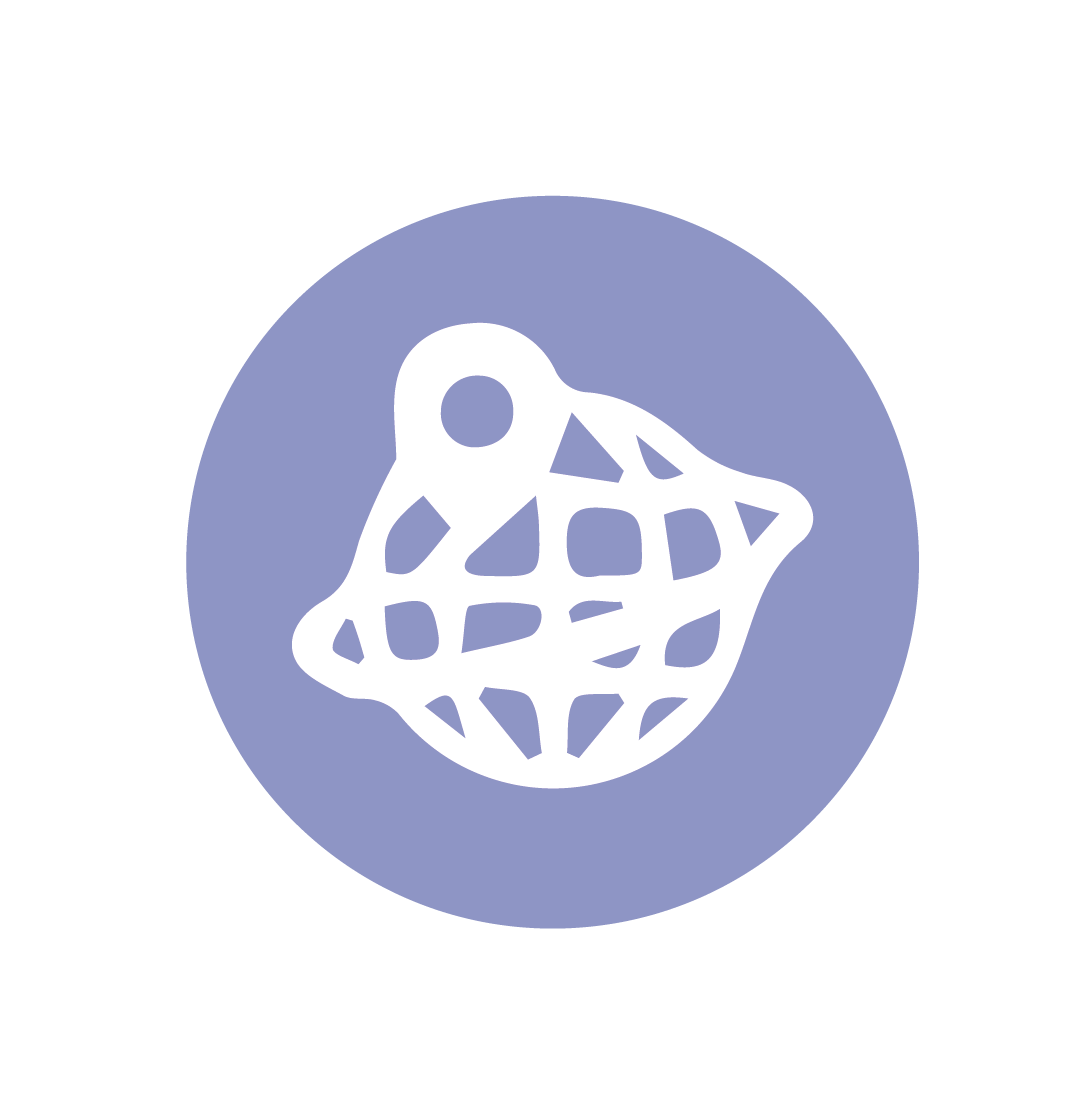 NANYANG SCIENCE AND TECHNOLOGY COLLEGE